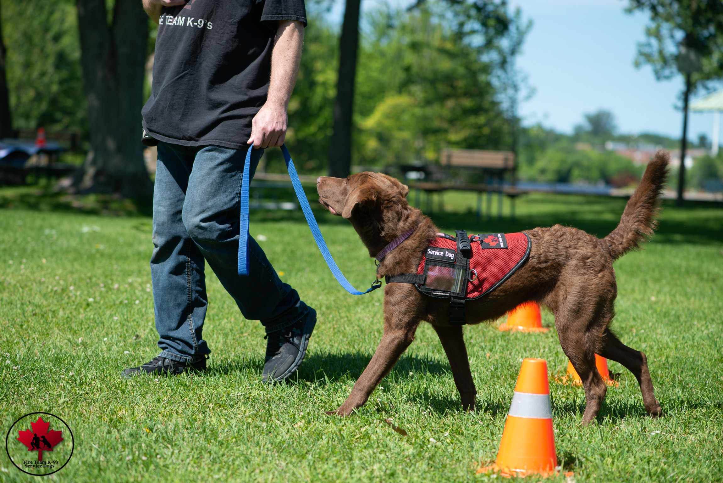 Inquire about a Service Dog